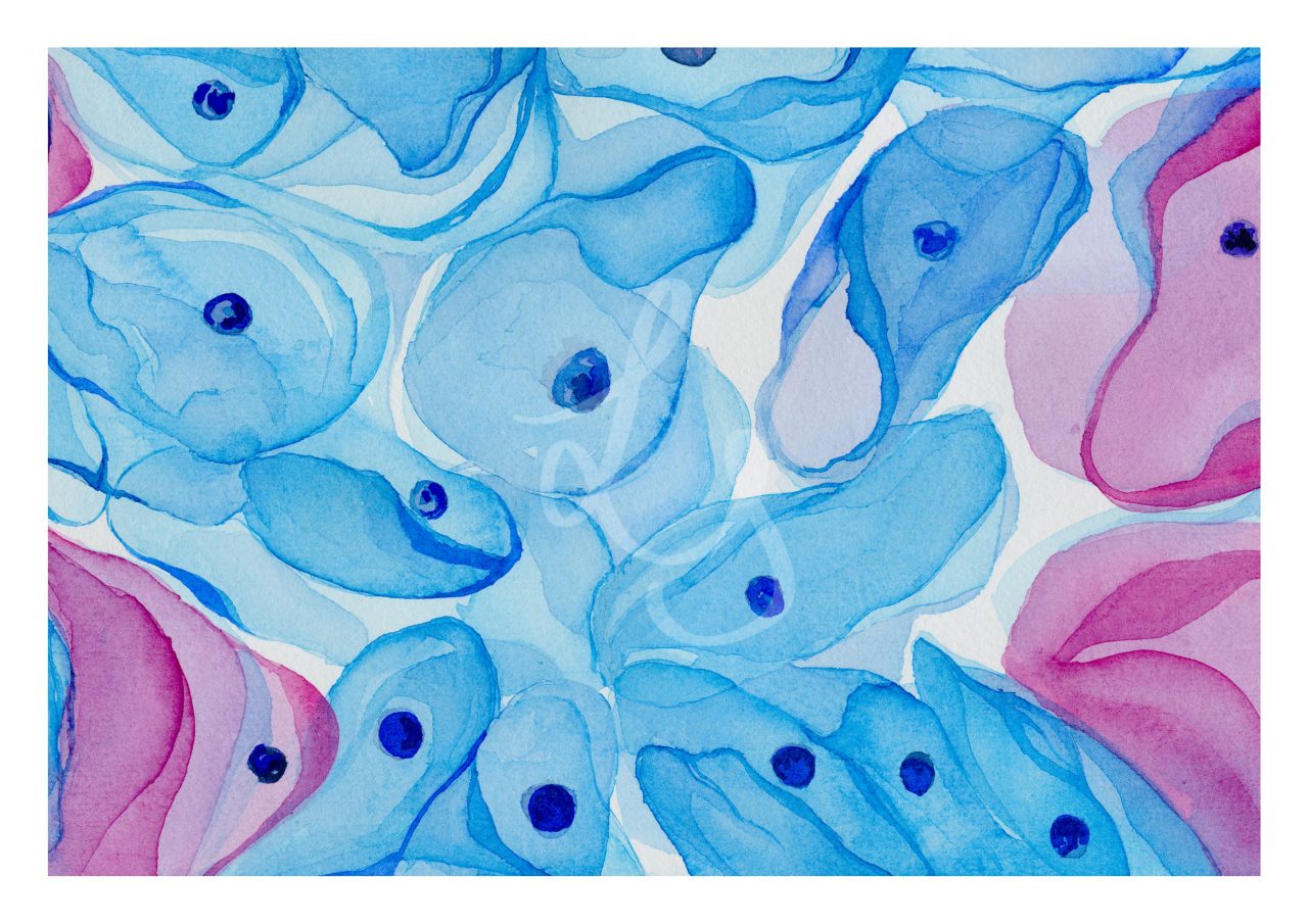 Colorful Histology – Painting Series | LamellipodiumArt