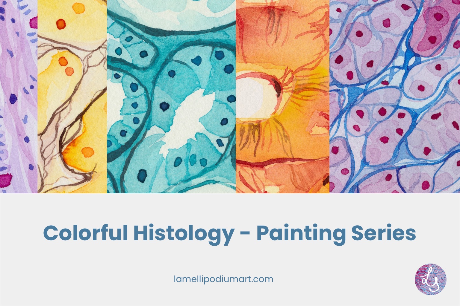 Colorful Histology - Painting Series - LamellipodiumArt