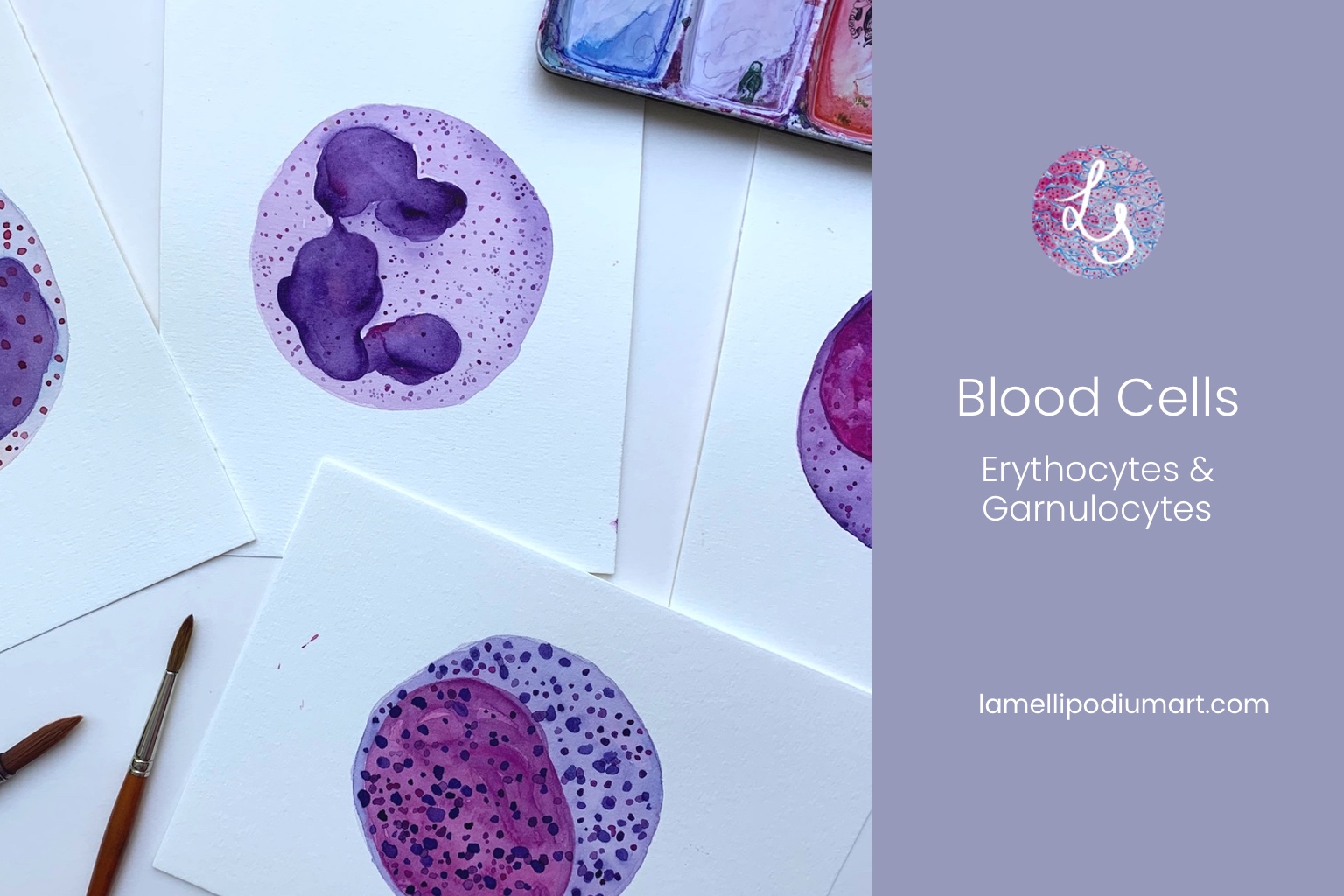 Blood Cells - Painting Series - LamellipodiumArt