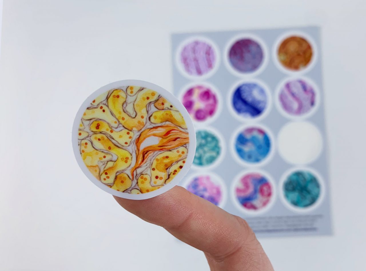 Histology&Pathology Stickersheet - LamellipodiumArt