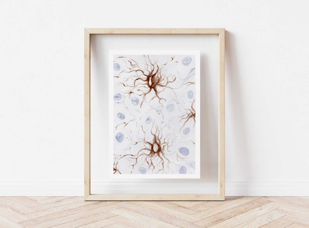 Tufted Astrocytes | LamellipodiumArt