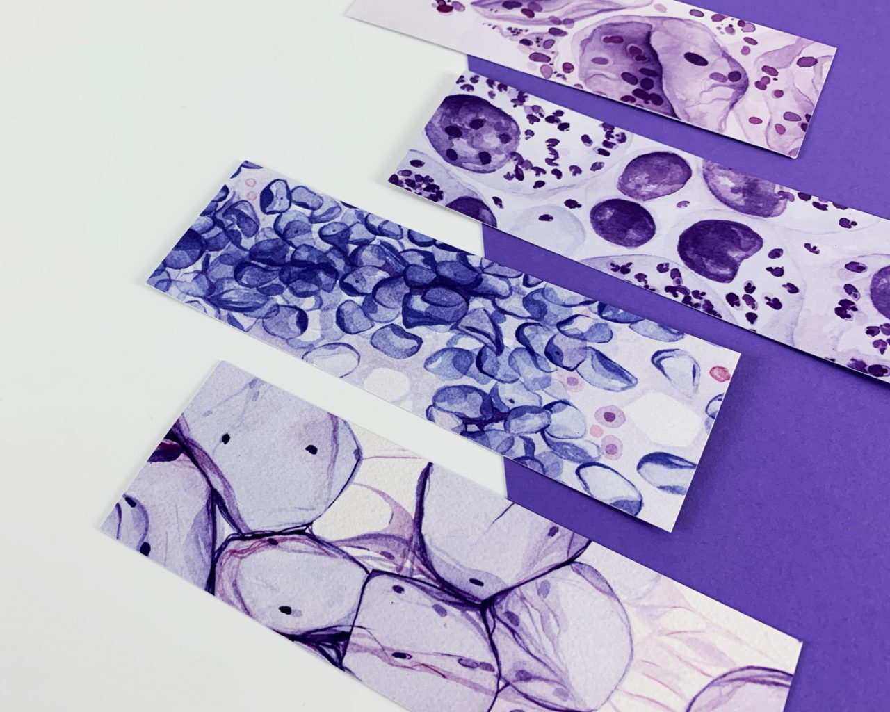 Veterinary Cytology Bookmark-Set - LamellipodiumArt
