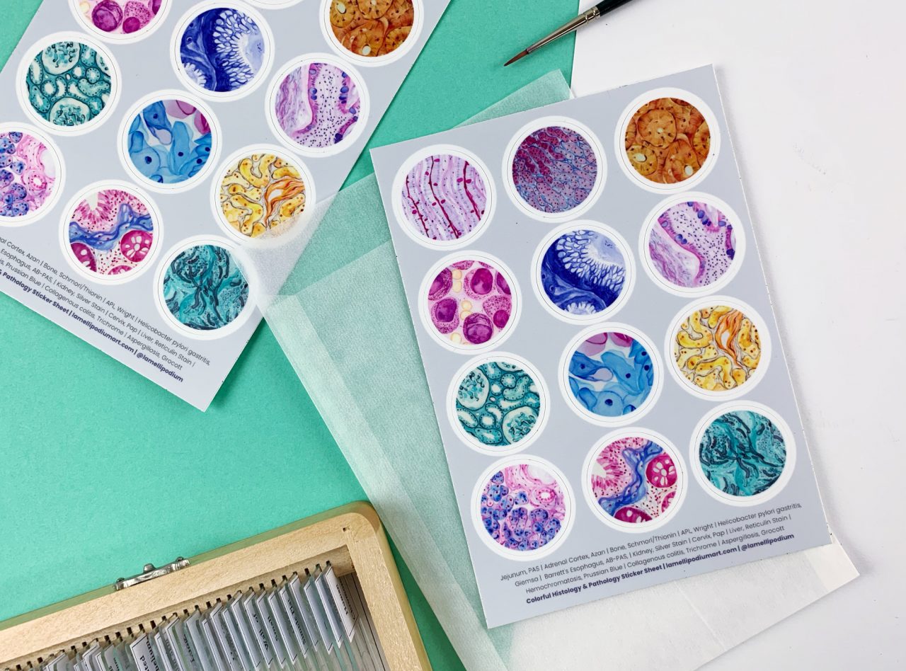 Colourful Histology&Pathology Stickersheet | LamellipodiumArt