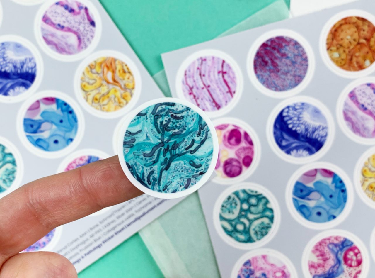 Colourful Histology&Pathology Stickersheet | LamellipodiumArt