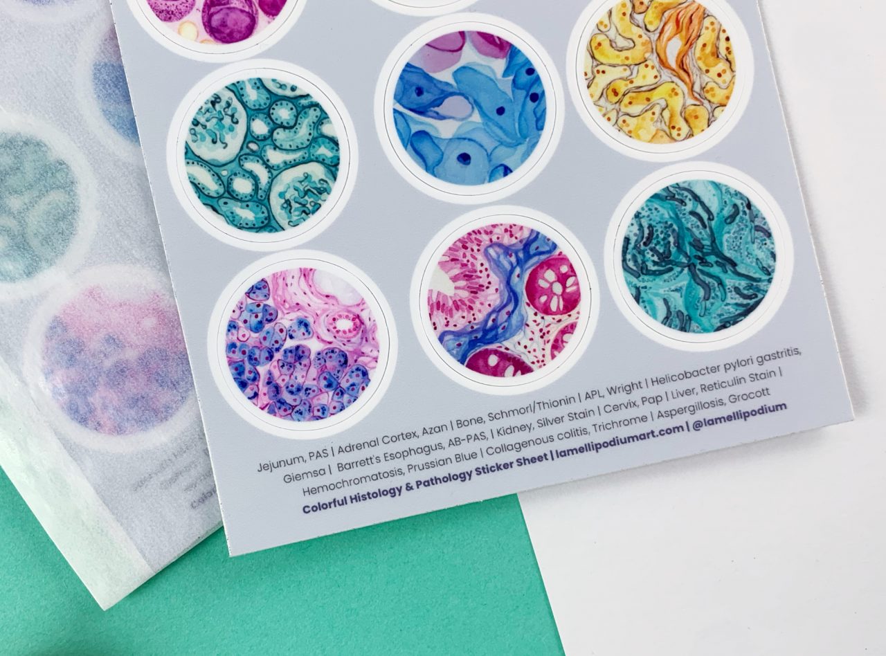 Colourful Histology&Pathology Stickersheet | LamellipodiumArt